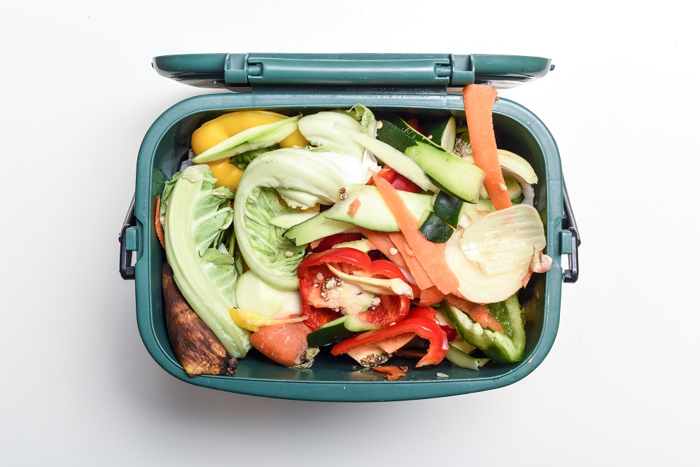 RECYC-QUÉBEC - Recyclez vos matières organiques et faites la différence